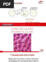 Señalización Celular | PDF | Receptor (Bioquímica) | Transducción de ...
