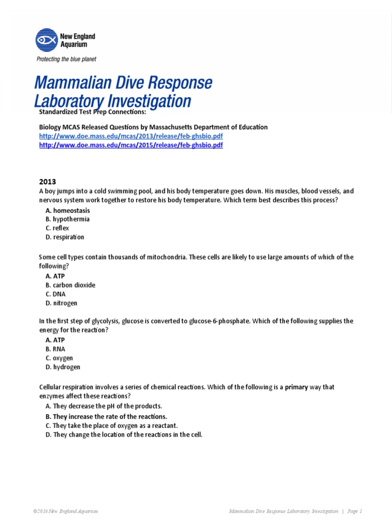 Standardized Test Prep Teacher Sheets Mammalian Dive Response ...