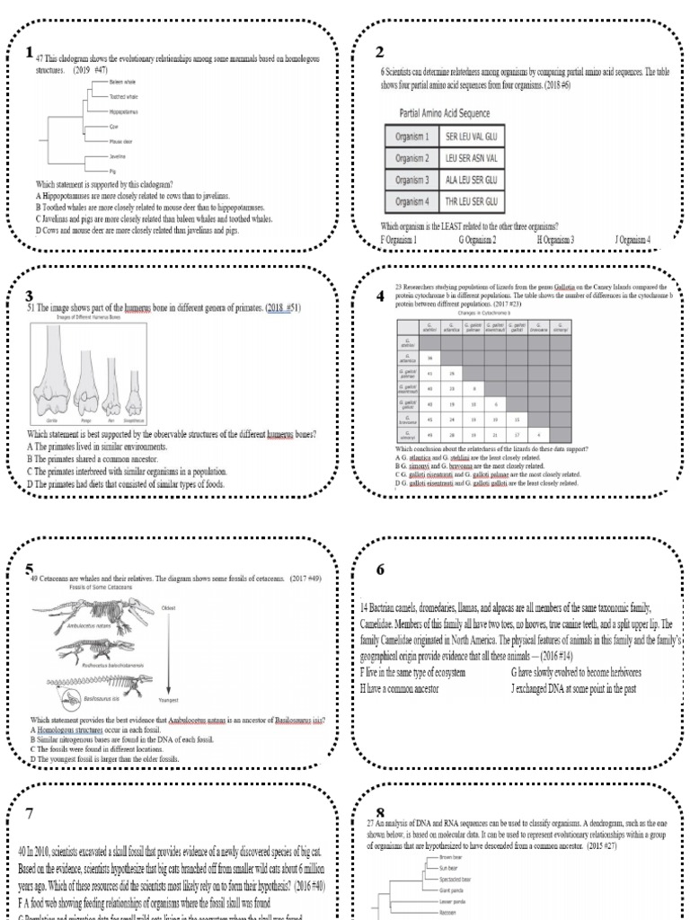 7.A - Evidences of Evolution Task Cards | PDF