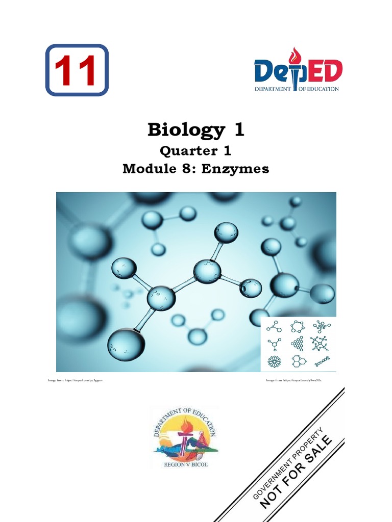 General Biology 1 Module 8 Q1 | PDF | Enzyme | Cofactor (Biochemistry)