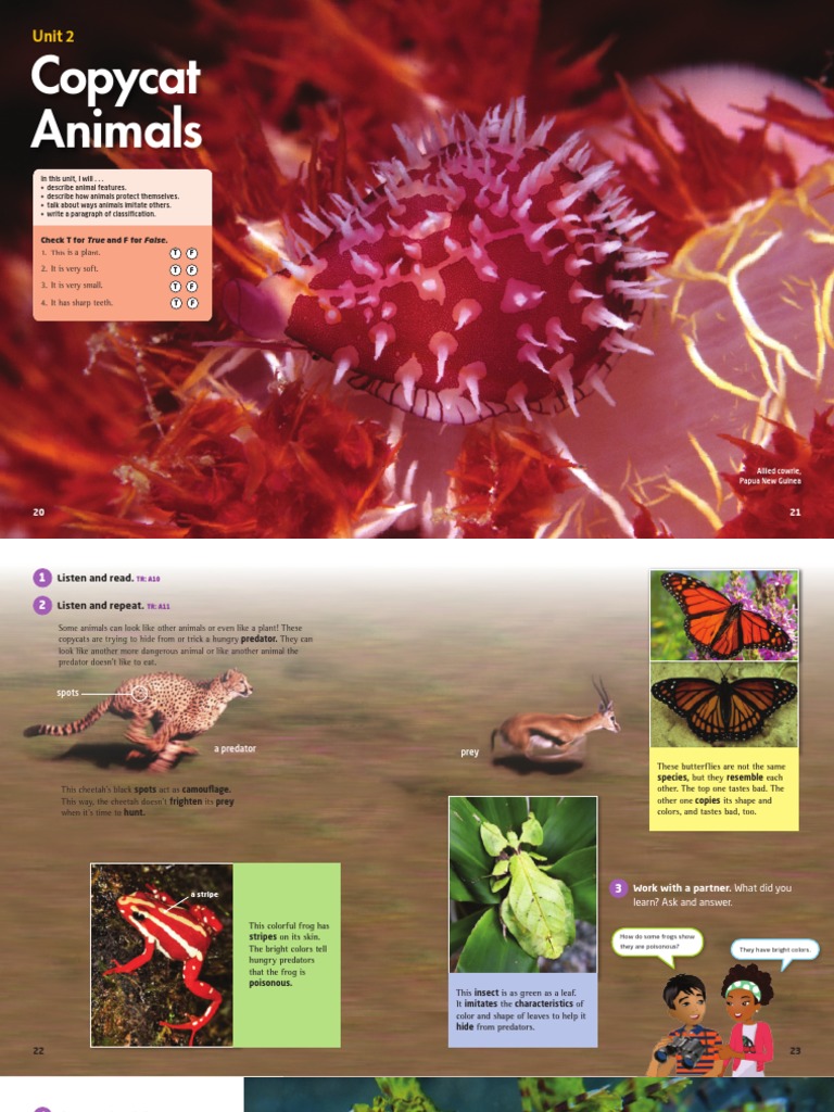 Copycat Animals: Unit 2 | PDF | Predation | Octopus