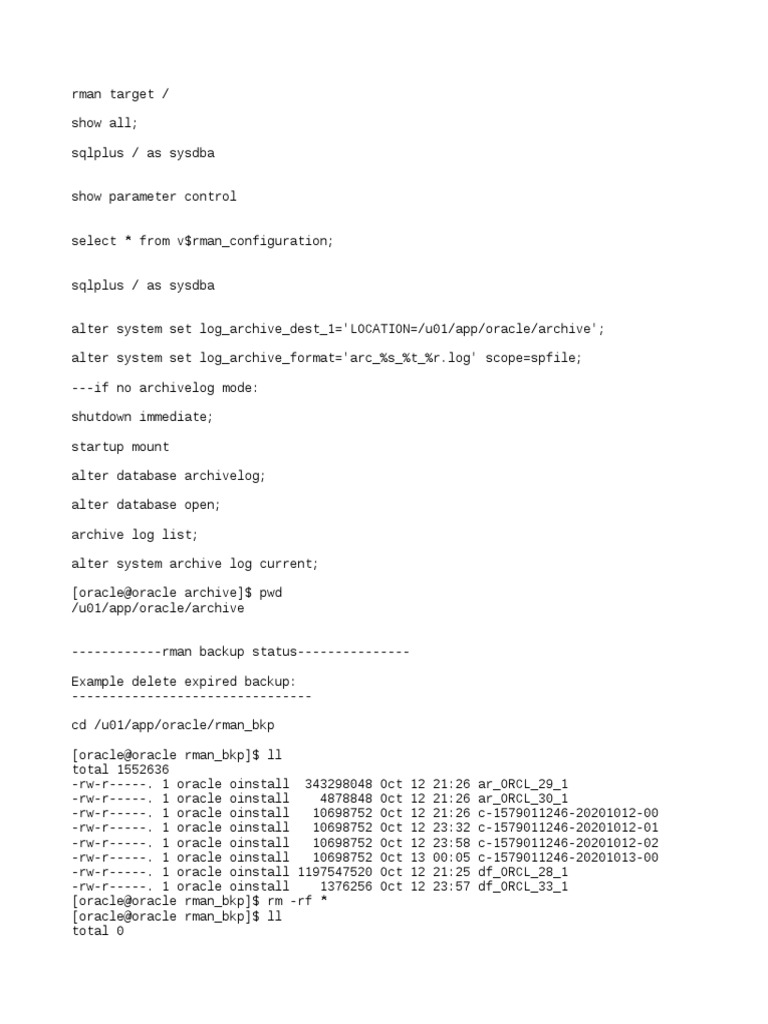 Rman View and Retention Policy | PDF