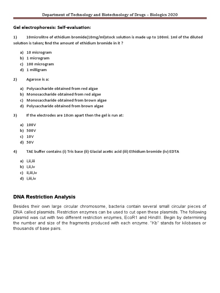 Worksheet - Agarose Gel Electrophoresis | PDF | Restriction Enzyme ...