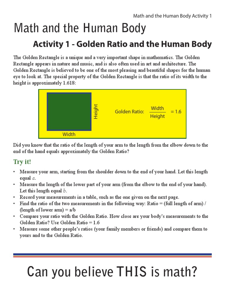 Golden Ratio in the Human Body Activity | PDF | Ratio | Length