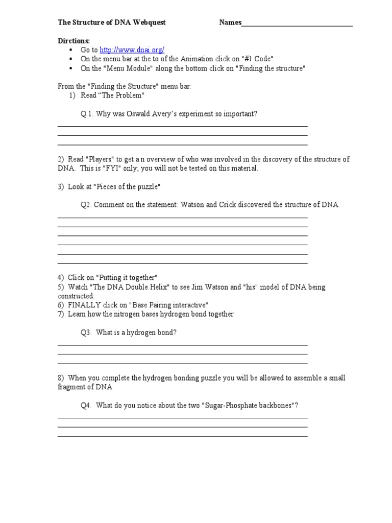 The Structure of DNA Webquest