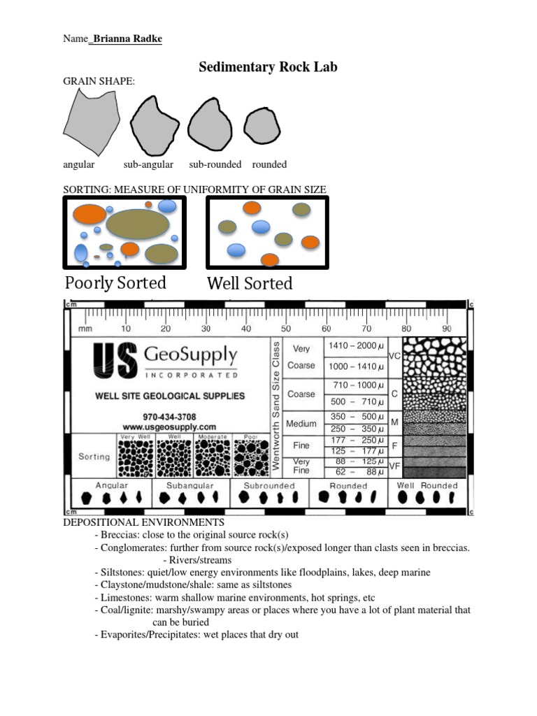 Well Sorted Poorly Sorted: Sedimentary Rock Lab | Download Free PDF ...