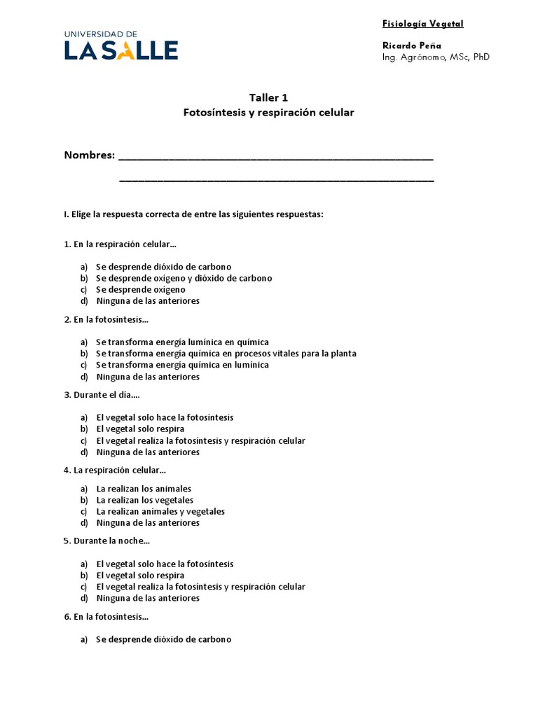Fotosíntesis y Respiración Celular | PDF | Fotosíntesis | Biología