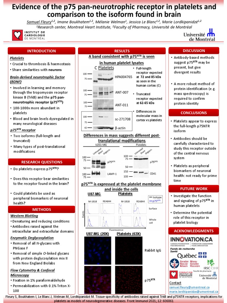 Samuel Fleury - NBS 2021 Poster | PDF | Platelet | Cell Signaling