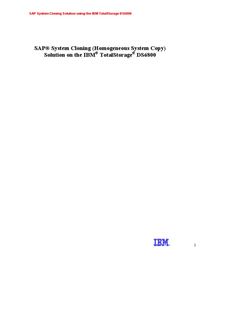 Sap® System Cloning (Homogeneous System Copy) Solution On The Ibm Totalstorage Ds6800 | PDF ...