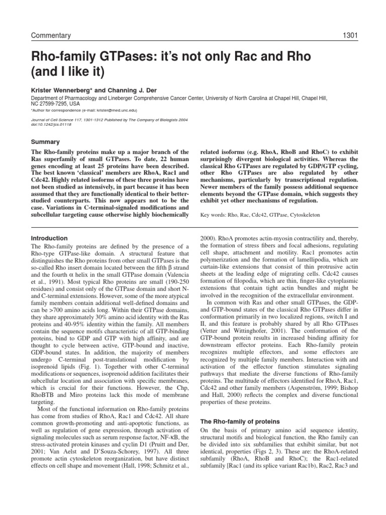 Rho-Family GTPases: Structure and Function | PDF | Proteins | Cellular ...