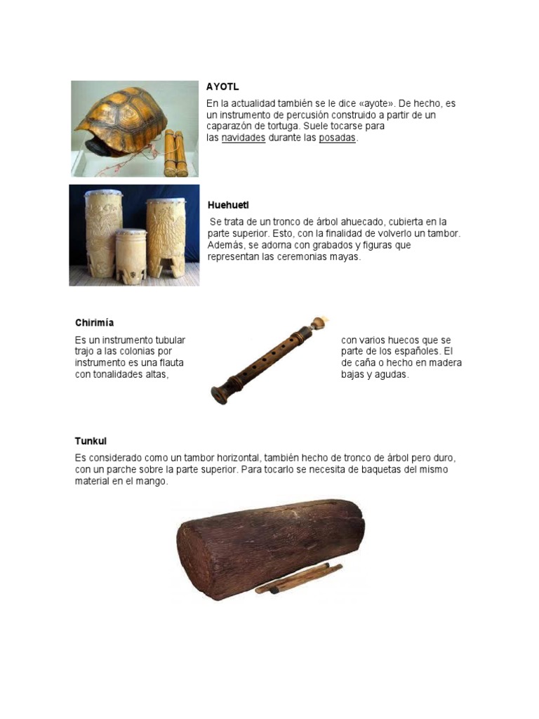 AYOTL | PDF | Instrumentos musicales | Producción musical
