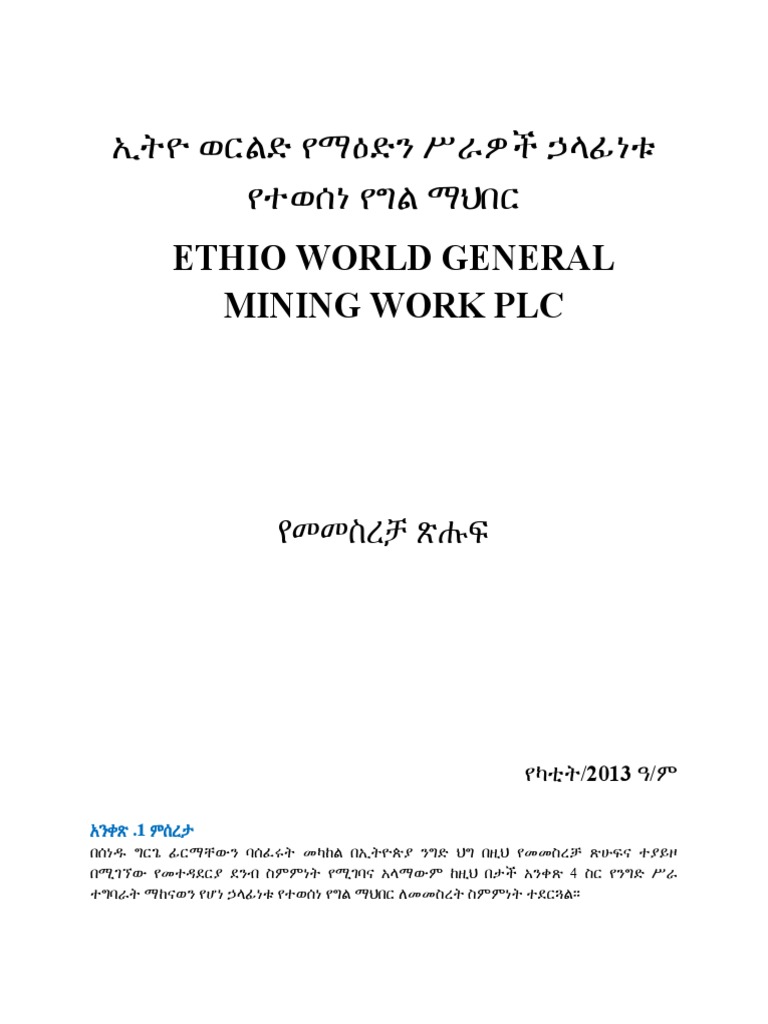 Ethio World General Mining Work PLC | PDF