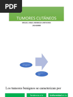 2 - Involucion-Cutanea | PDF | Piel | Vitamina C