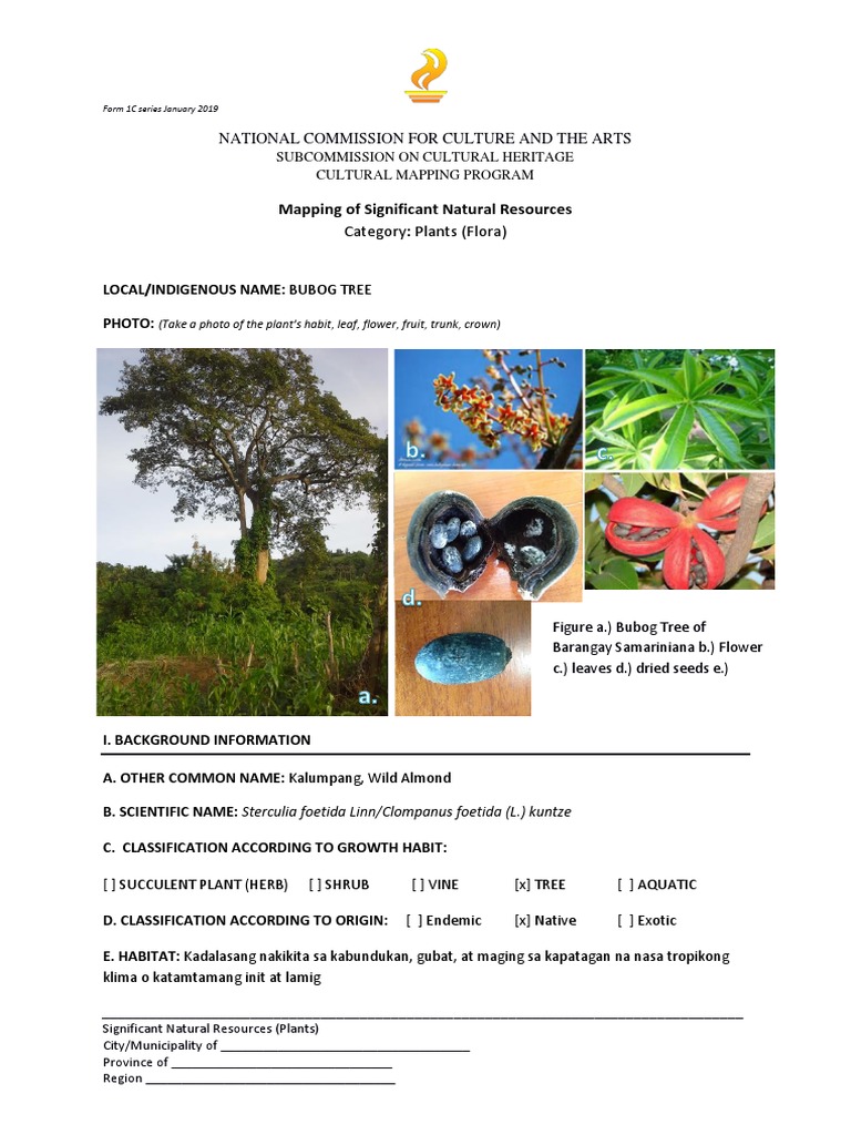 Form 01C Plants Bubog Tree | PDF