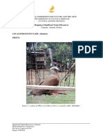 Day 2 Recap For Inset Training | PDF | Travel | Language Arts & Discipline