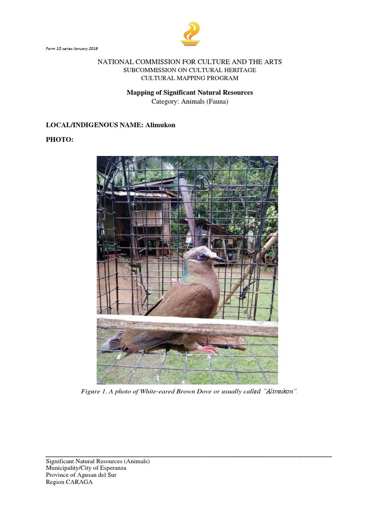 Form 01D Animals Alimukon | PDF | Hunting | Conservation