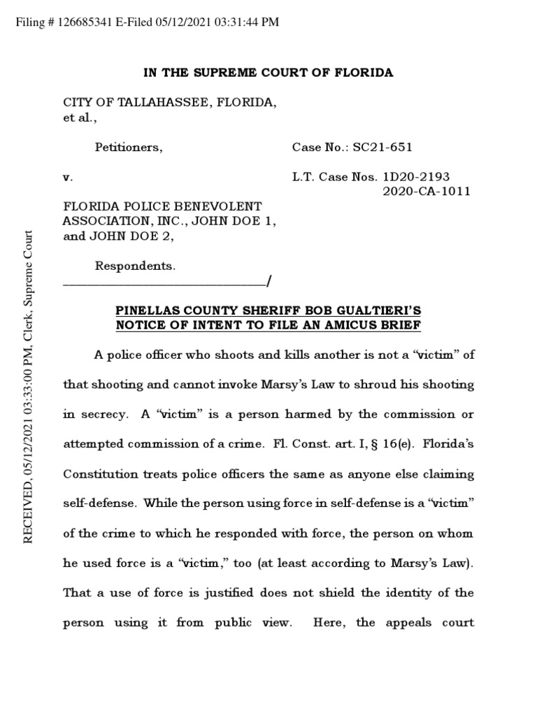 Pinellas County Sheriff Bob Gualtieri Amicus Brief | PDF | Amicus ...