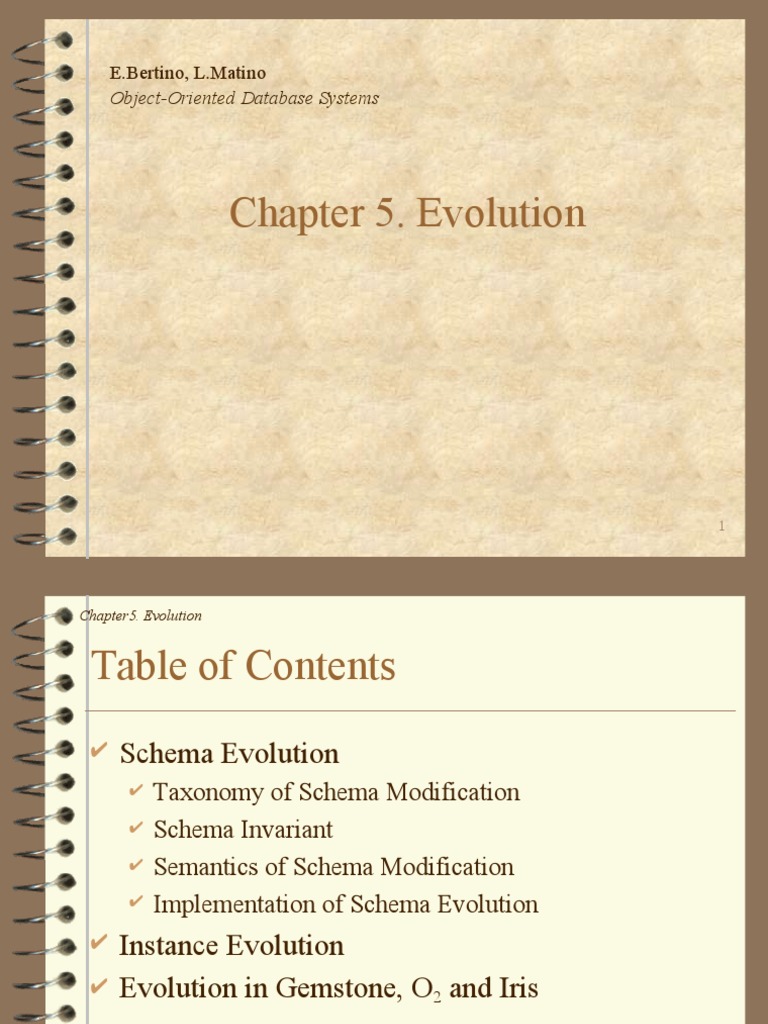 Chapter 5. Evolution: Object-Oriented Database Systems | PDF ...