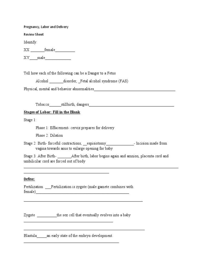 Pregnancy Review Sheet Finished | PDF | Pregnancy | Multiple Births