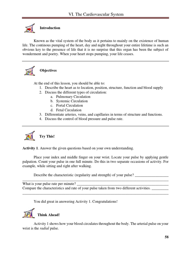 Module Cardiovascular System | PDF | Heart | Circulatory System