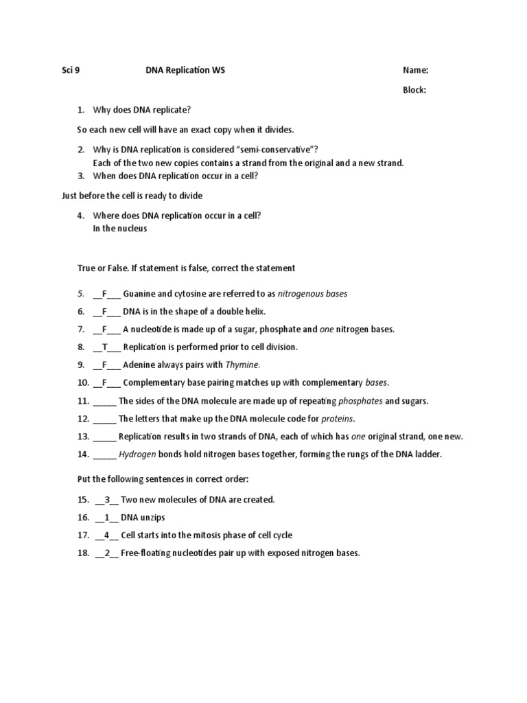 DNA Replication Worksheet Overview | PDF