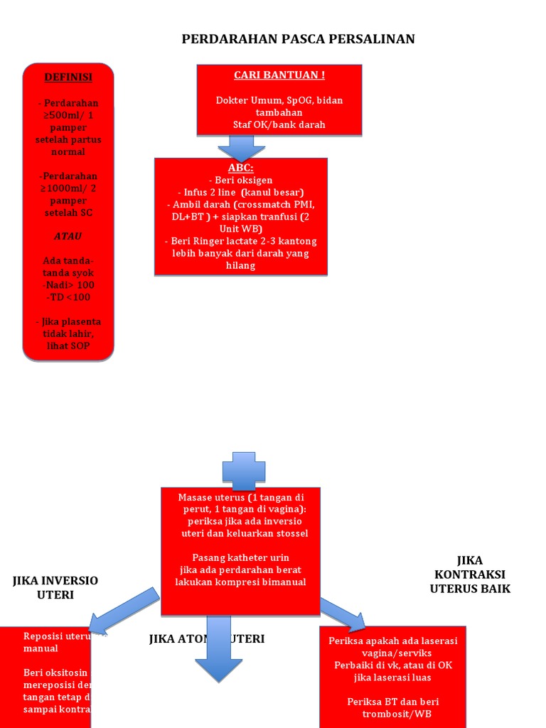 Poster PPH Bah | PDF