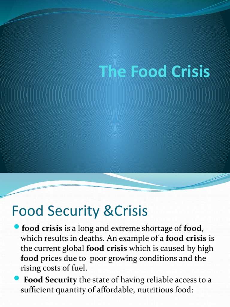The Food Crisis | PDF | Famine | Foods