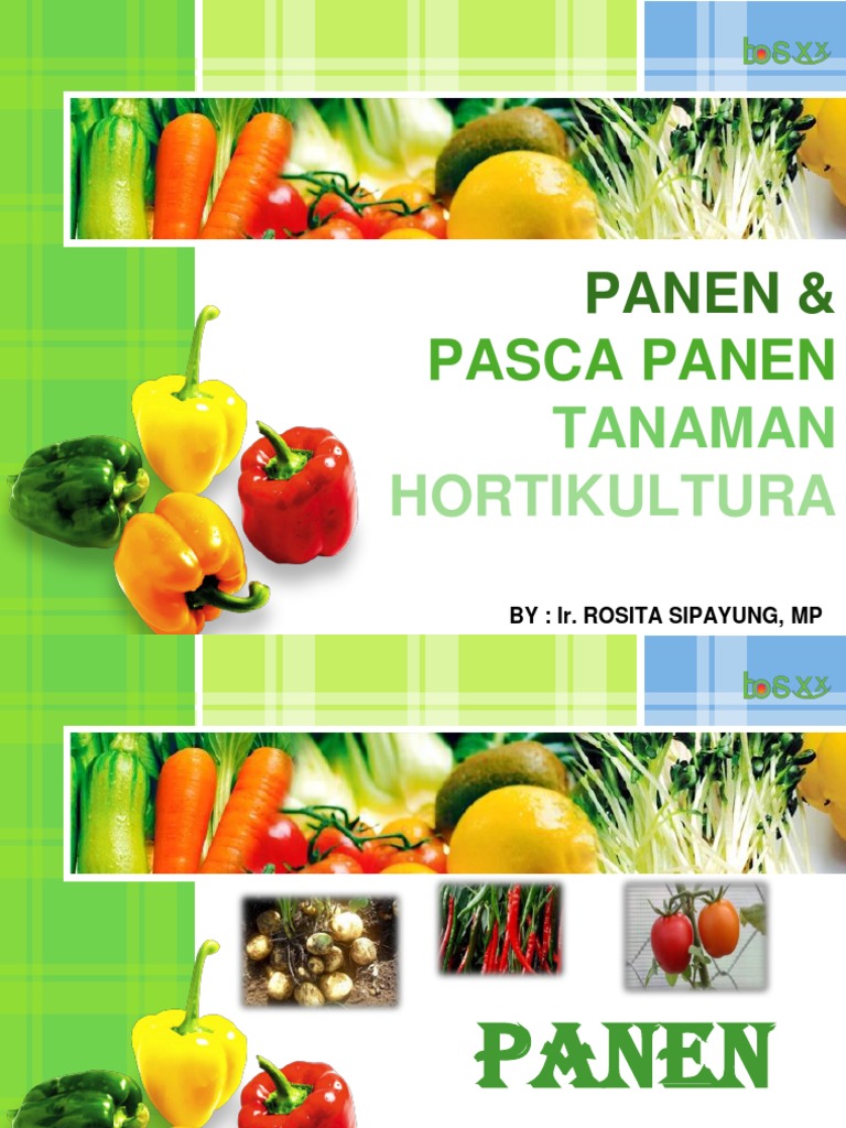 Panen & Pasca Panen | PDF | Teknologi & Rekayasa