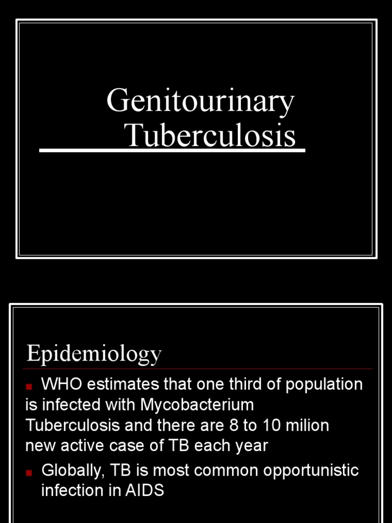 Genitourinary Tuberculosis | PDF | Tuberculosis | Kidney