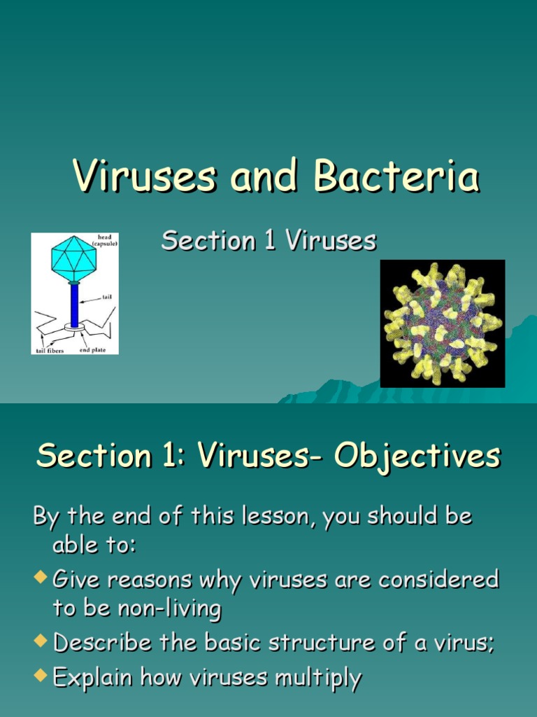 6th Grade Science Chapter 2 Viruses and Bacteria | PDF | Cell (Biology ...