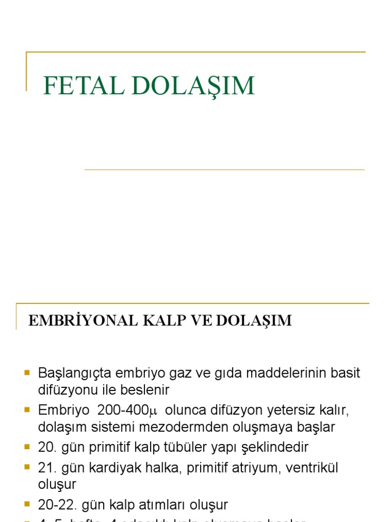 Ders 16-Fetal Dolaşım | PDF