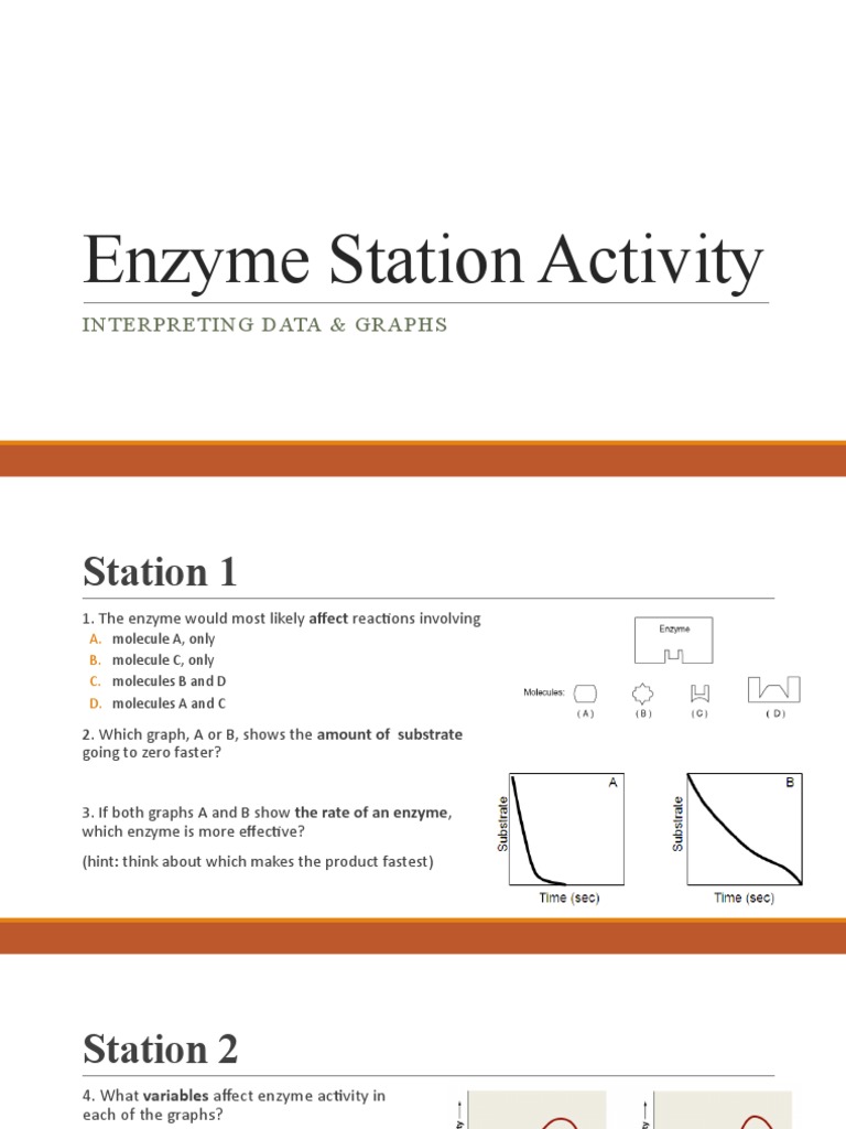 12 - Enzyme Station Activity | PDF | Substrate (Chemistry) | Enzyme