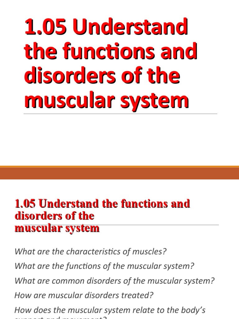 Muscular System: Functions & Disorders | PDF | Muscular Dystrophy | Muscle