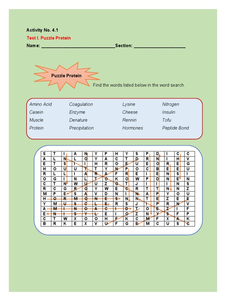 Test I. Puzzle Protein: Activity No. 4.1 | PDF | Proteins | Biochemistry