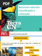 Importância Dos Mangais para o Meio Ambiente | PDF | Mangue | Ambiente ...