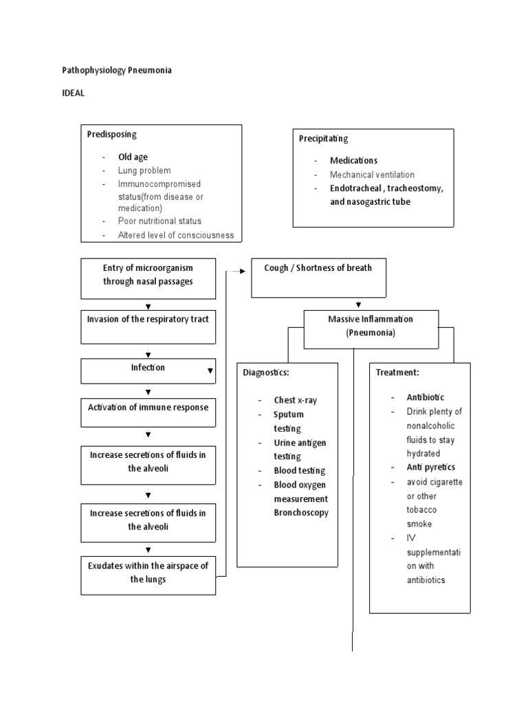 Pathophysiology Pneumonia