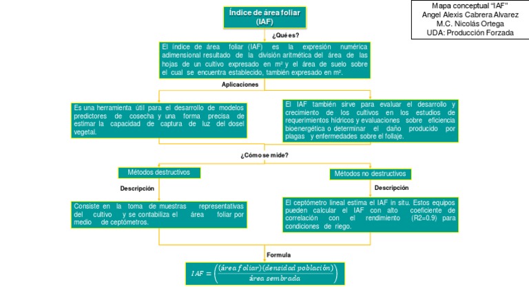 Mapa Conceptual | PDF | Naturaleza | Enseñanza de matemática