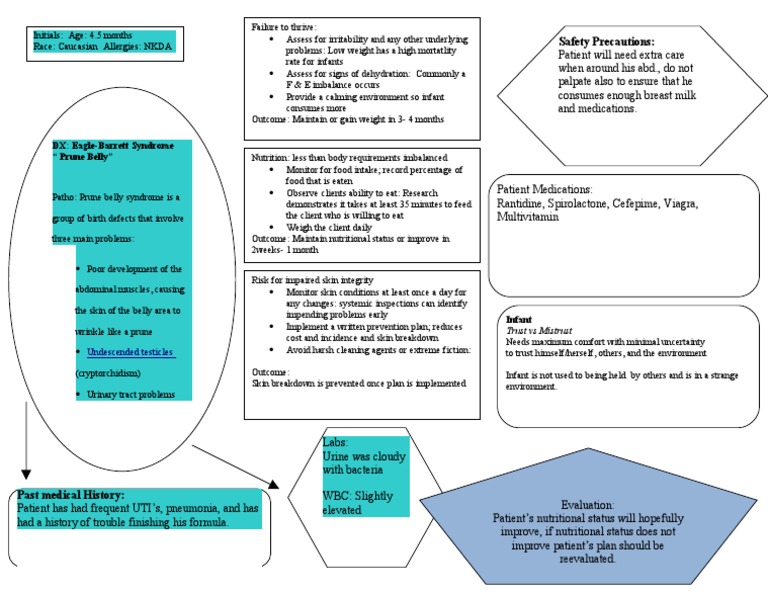 PED Concept Map | PDF | Urinary Tract Infection | Health Sciences