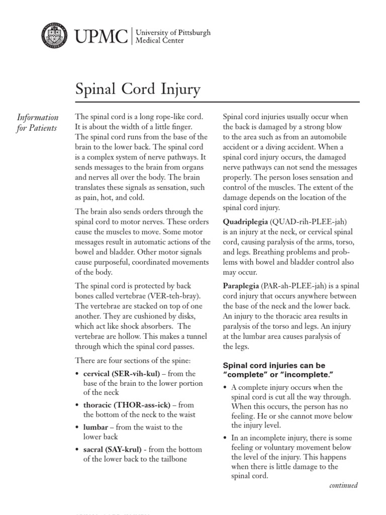 Spinal Cord Injury: Information For Patients | PDF | Spinal Cord Injury ...