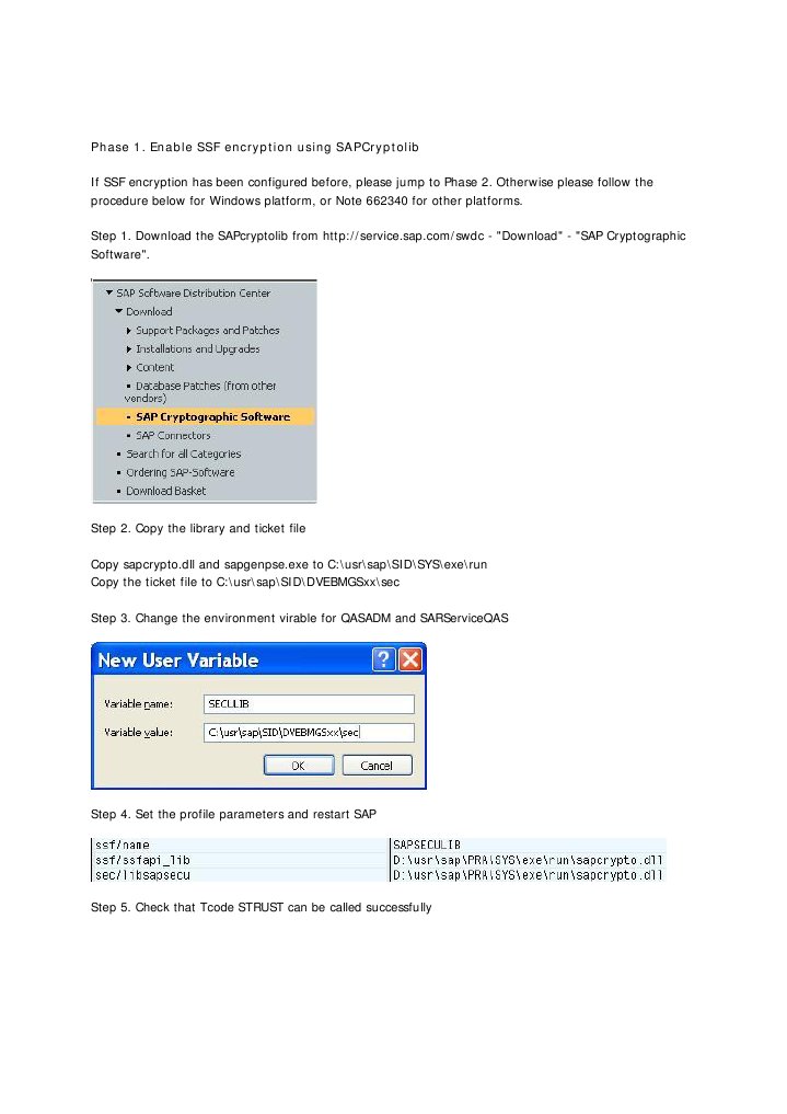 Phase 1. Enable SSF Encryption Using Sapcryptolib | PDF