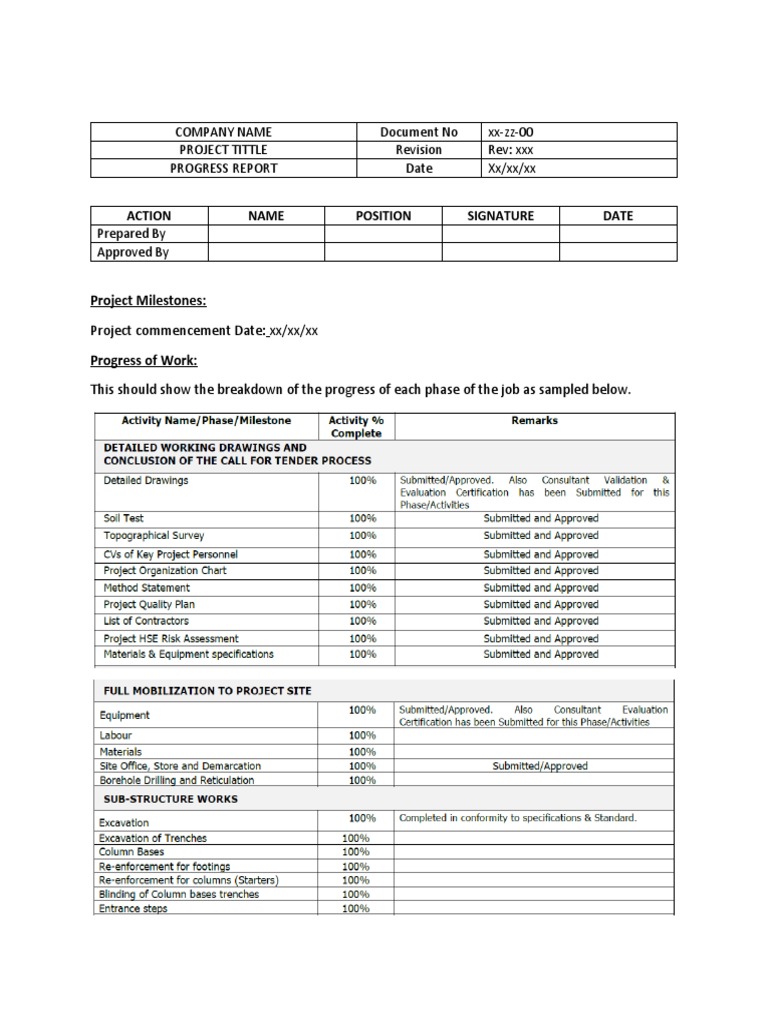 Sample Project Reporting Template | PDF