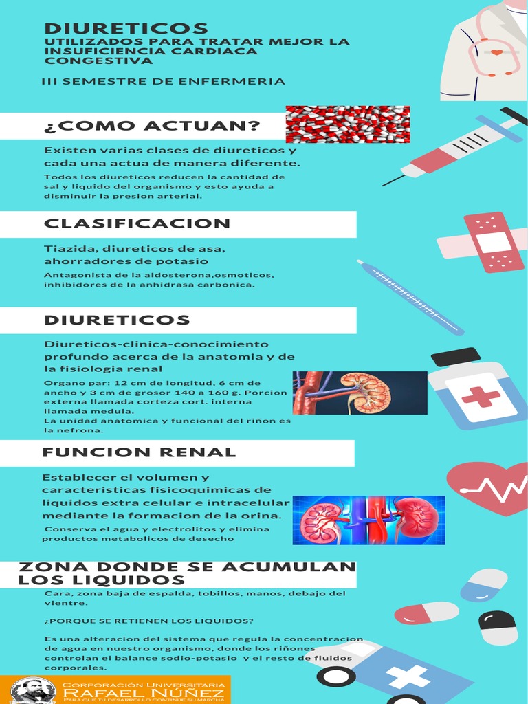 Clasificación y función de diuréticos | PDF | Cocina, comidas y vino ...