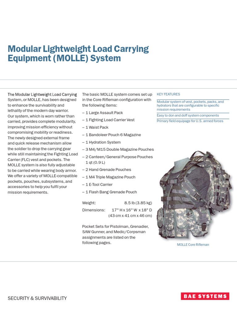 Modular Lightweight Load Carrying Equipment (MOLLE) System: Security ...