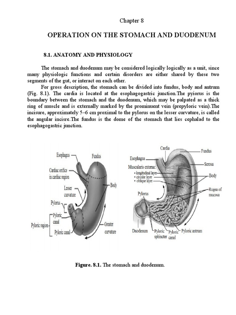 Р.8.OPERATION ON THE STOMATH AND DUODENUM | PDF | Stomach ...