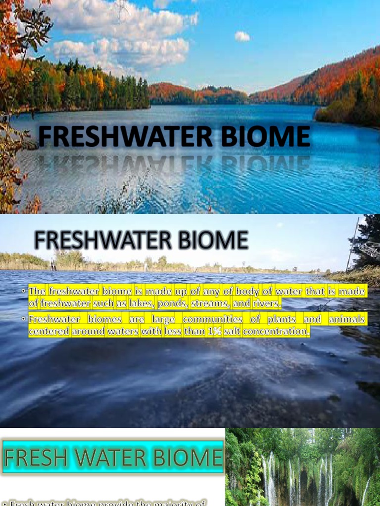 Freshwater Biome | PDF | Social Science | Home & Garden