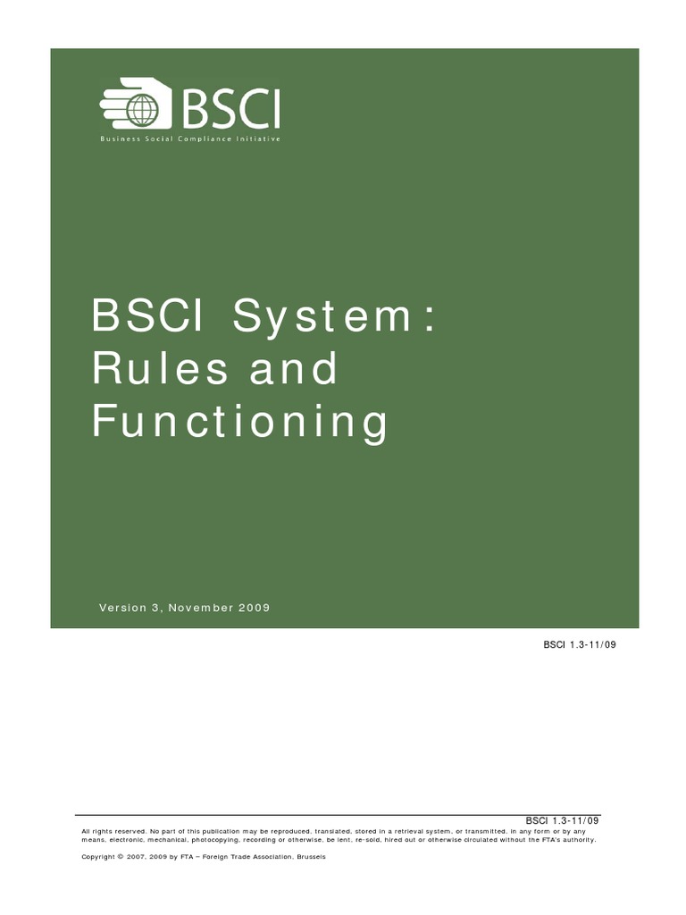 Bsci System Rules Functioning English | PDF | Committee | Audit