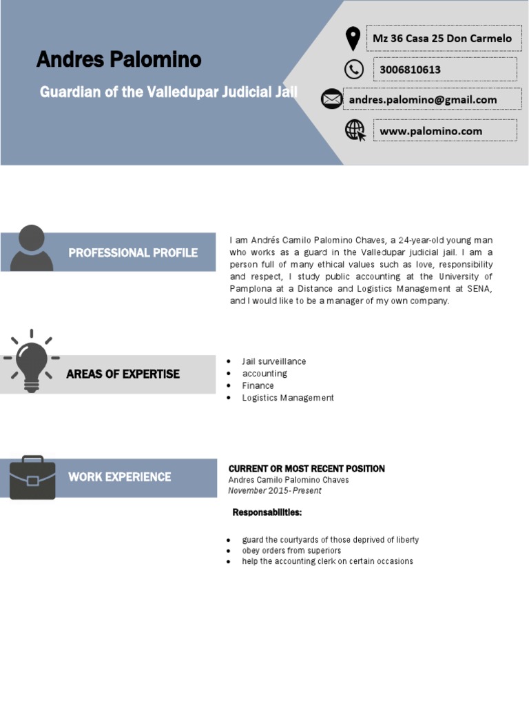 Curriculum - Vitae - Format Andres Palomino | PDF | Business