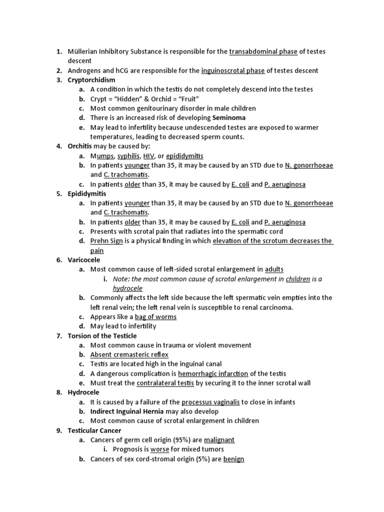 USMLE Male Reproductive Disorders 2 | PDF | Testicle | Sexual Anatomy