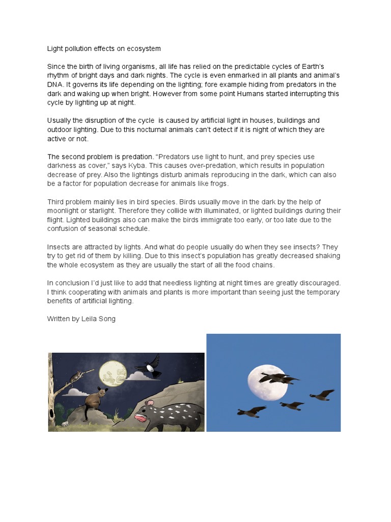 Light Pollution Effects On Ecosystem | PDF