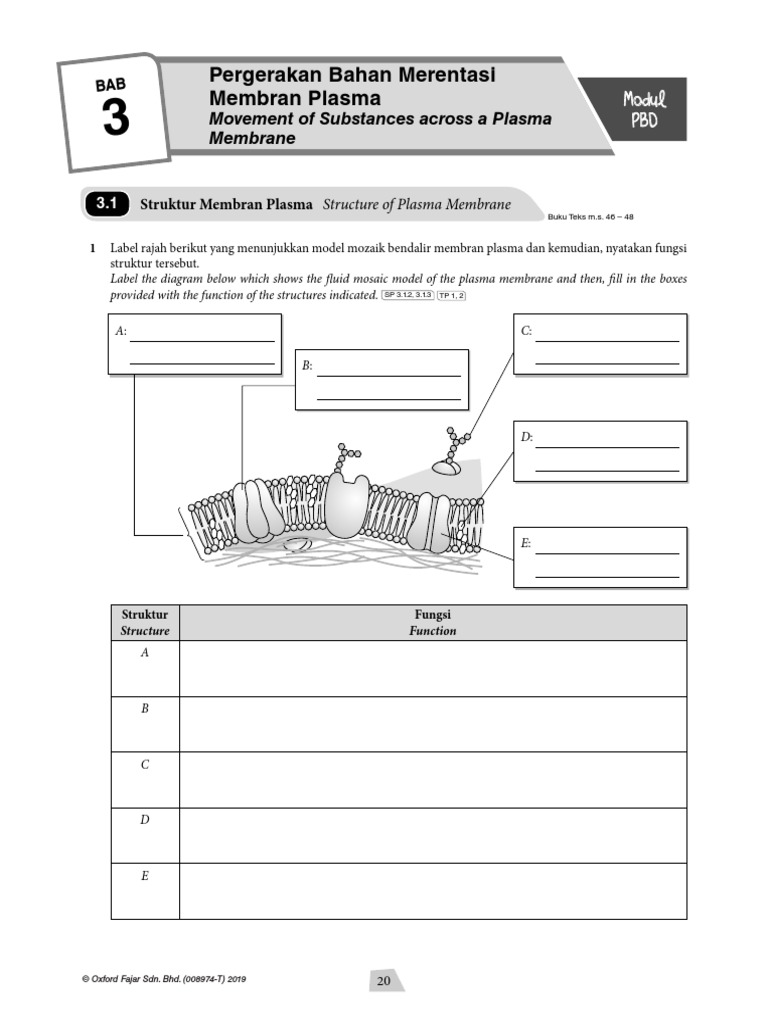 Sains Tingkatan 4 Pdf